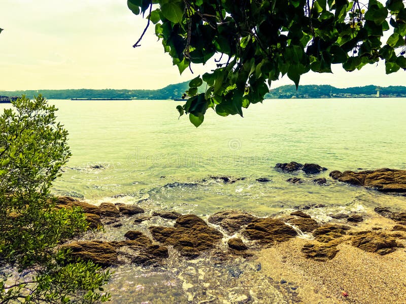 Scenery of the Sea Under the Shadow of the Leaves Stock Image - Image ...