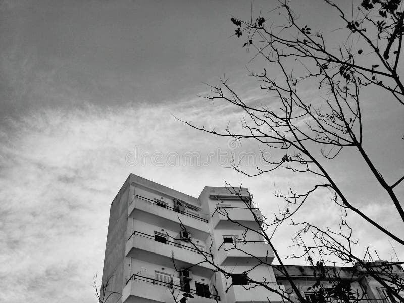 Scenery shot stock photo. Image of structure, shot, lowangleview - 80278922