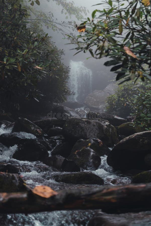 Scenery of a Strong Waterfall Flowing into the River in the Middle of ...