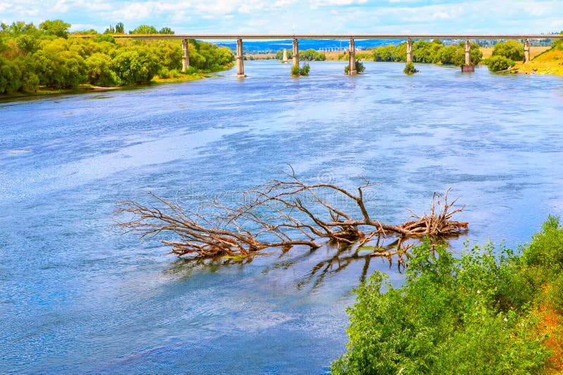 Scenery with Tree in the River Water Stock Image - Image of landscape ...