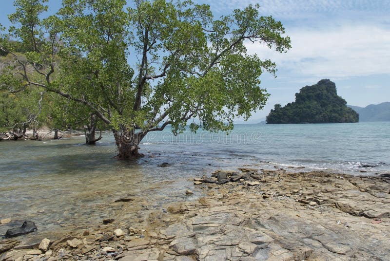 Scenery with Trees and Islands Stock Image - Image of rock, forest ...
