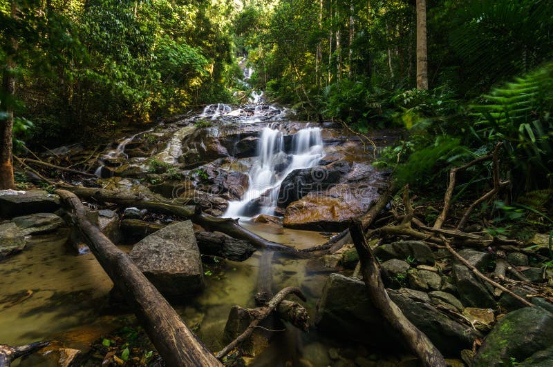 Green forest waterfall stock image. Image of beauty - 111911669