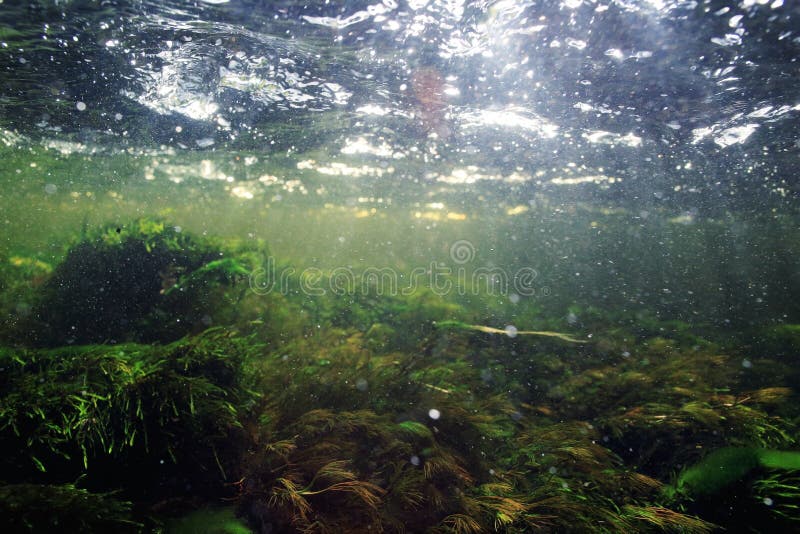 Scenery Under Clear River Water Stock Photo - Image of landscape ...