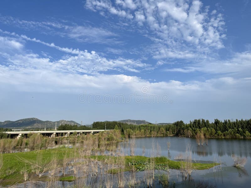Scenery Under the Clear Sky Stock Image - Image of lush, coast: 284359613