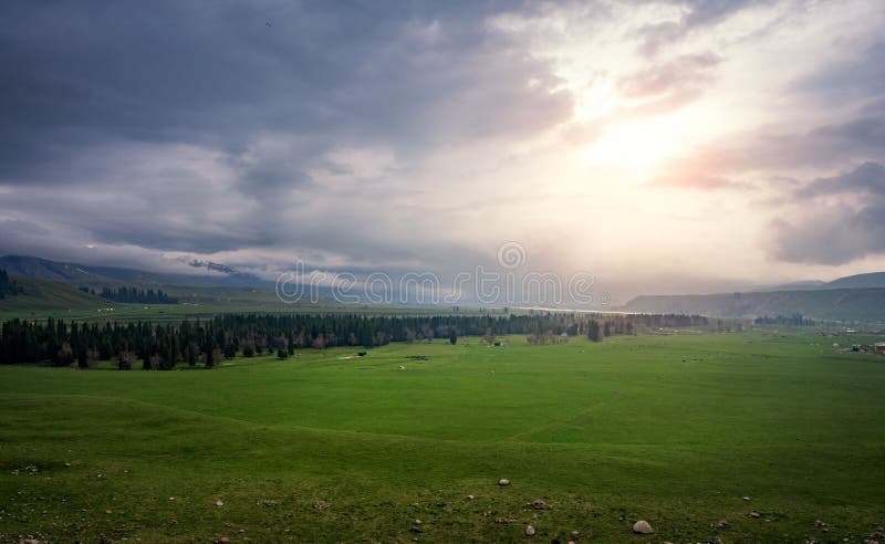 Scenery of a Vast Green Field at Sunset Stock Image - Image of summer ...