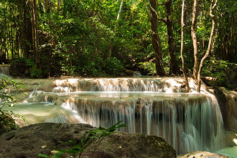 Scenery View. Beautiful Waterfall among the Tree in the Forest a Stock ...