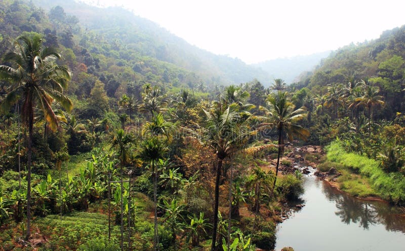 Scenery View of Trees and River from a Bridge Stock Photo - Image of ...