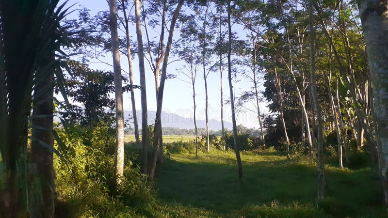 Scenery in the Village Around the Mountains in East Java Indonesia ...