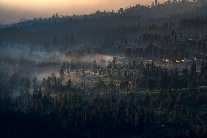 The Scenery of the Village in the Forest on the Java Island in ...