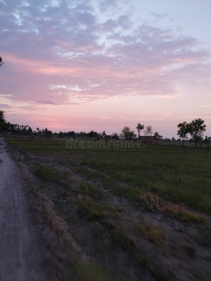 A Scenery of Village Life Having Green Fields with Sunset Stock Photo ...