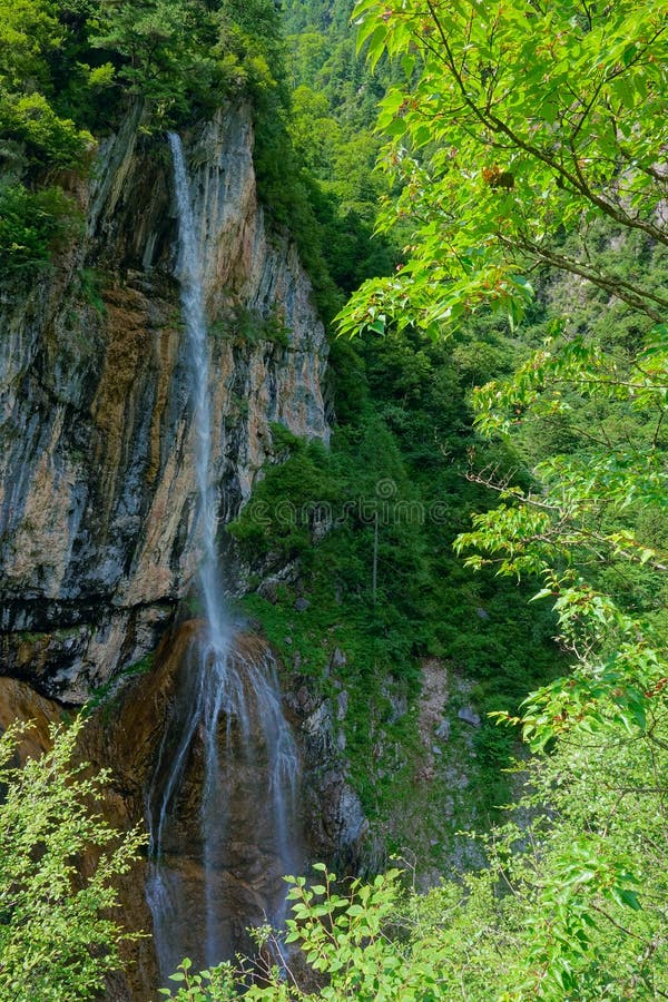 Waterfall on cliff stock photo. Image of plant, waterfall - 123454924