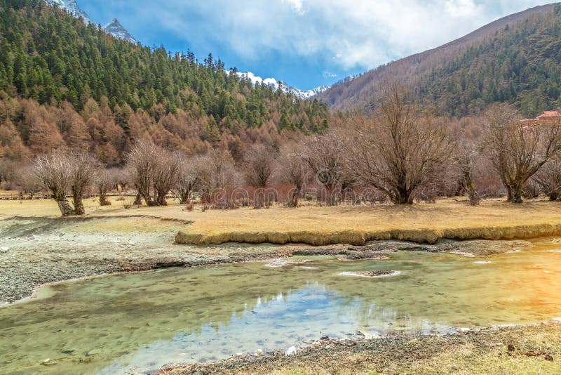 Scenery in Yading, Sichuan, China Stock Image - Image of nature, high ...