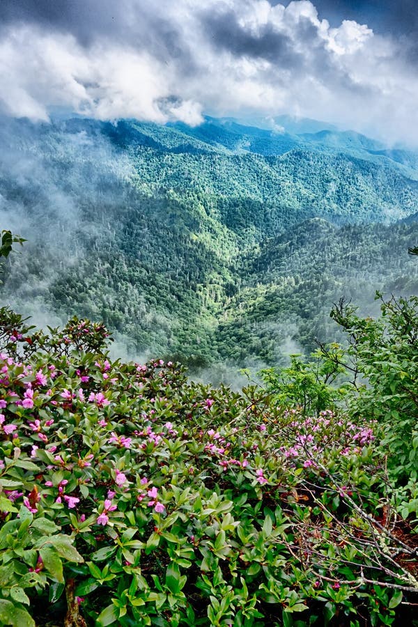 Scenes Along Appalachian Trail in Great Smoky Mountains Stock Image ...