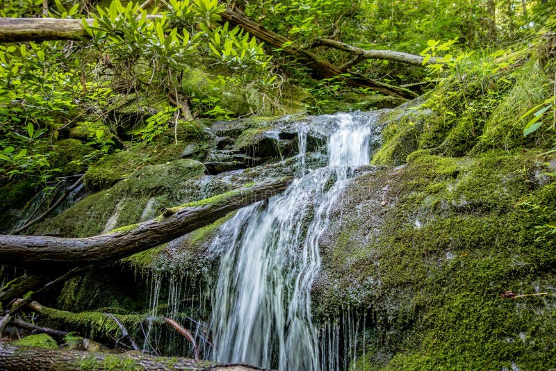 Scenes Along Appalachian Trail in Great Smoky Mountains Stock Photo ...