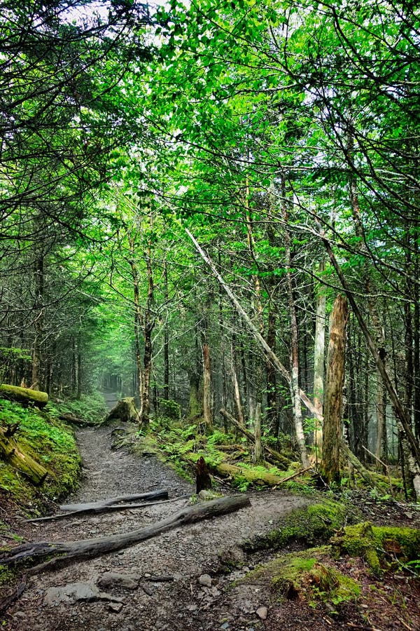 Scenes Along Appalachian Trail in Great Smoky Mountains Stock Photo ...