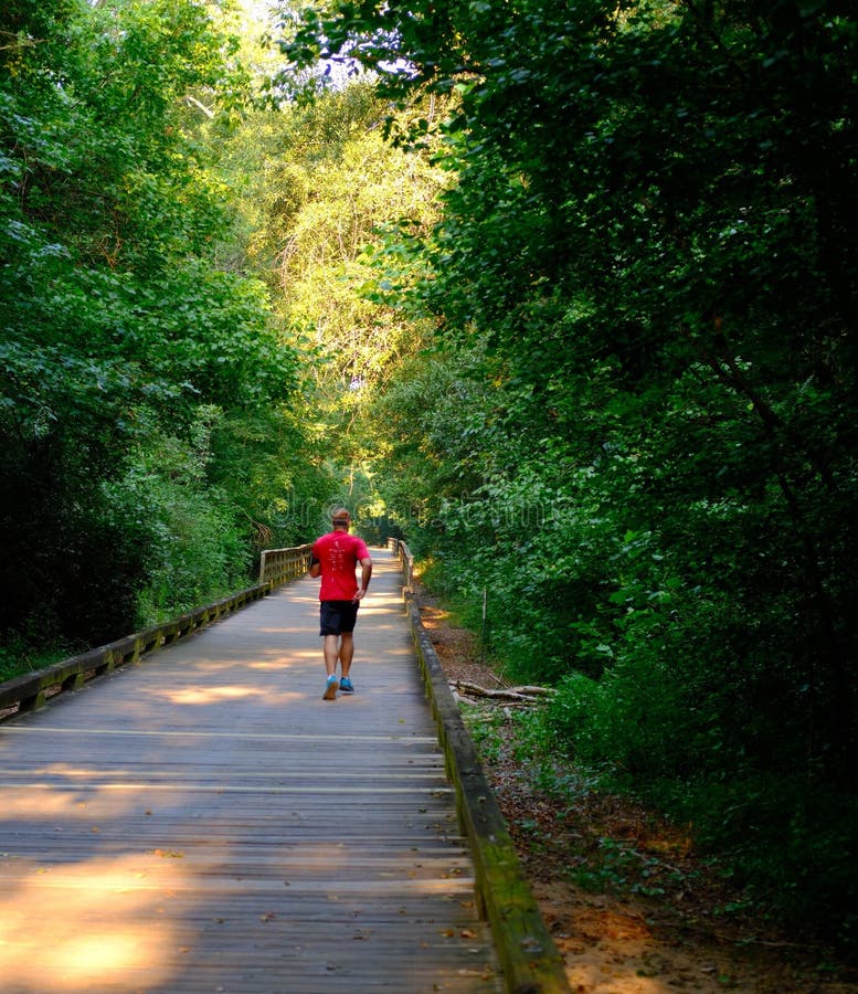 Scenes Along the Greeway Walking Trail in Forsyth County Editorial ...