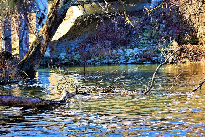 Scenes from the Hamilton Dam on the Rabbit River, Hamilton MI Stock ...