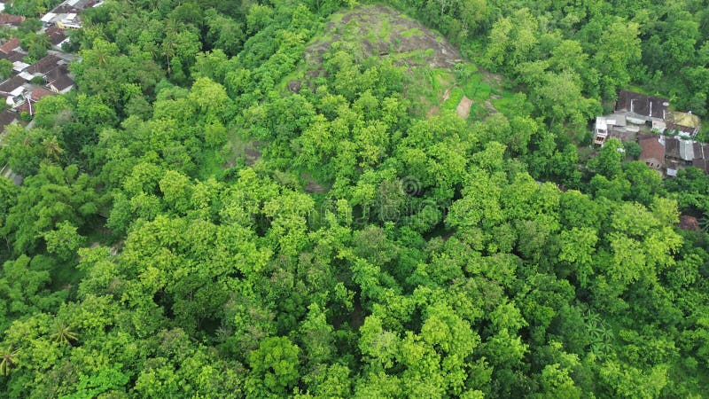 Aerial Video View of Lush Fields and Dense Forest Landscape Stock Video ...