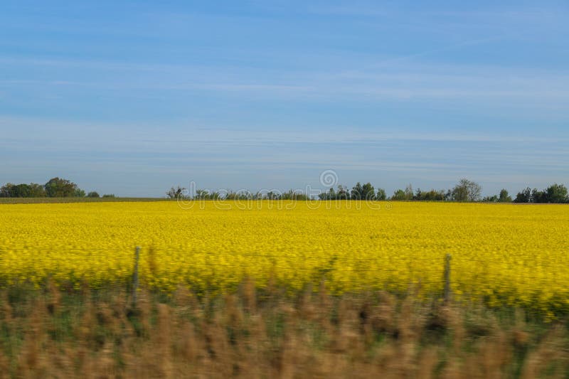 Scenic Agricultural Fields in Spring Light Stock Image - Image of field ...