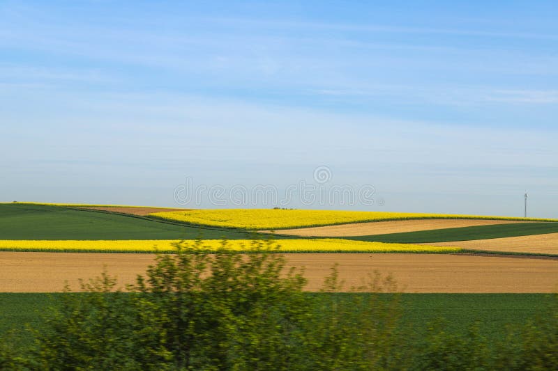 Scenic Agricultural Fields in Spring Light Stock Image - Image of ...