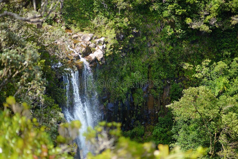 Alexandra Falls, Mauritius stock image. Image of trees - 2079599