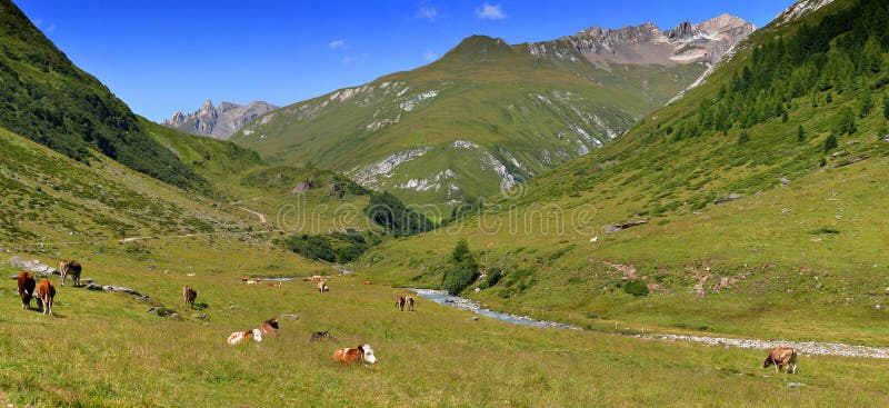 Scenic alpine panorama stock image. Image of mountains - 3215659