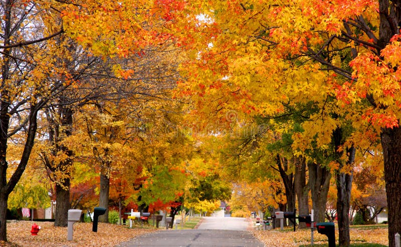 Scenic Autumn drive stock image. Image of bright, color - 11653185