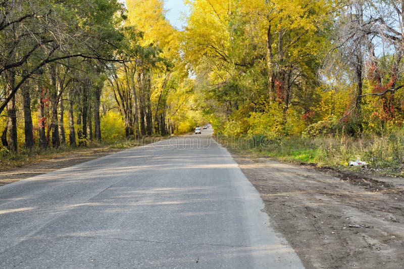 Scenic Autumn Drive stock image. Image of trees, asphalt - 22788021