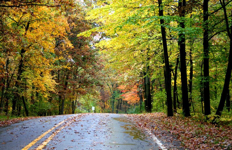 Autumn road in the park stock image. Image of flight, leaves - 7834681
