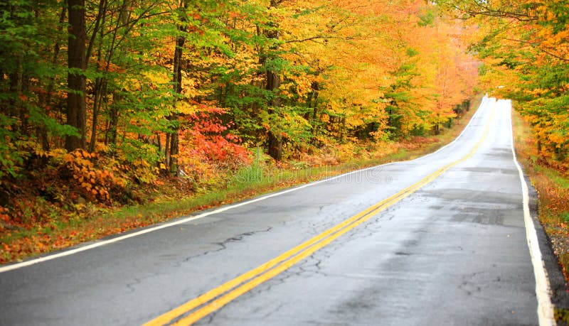 Scenic autumn drive stock image. Image of woods, curves - 79552201