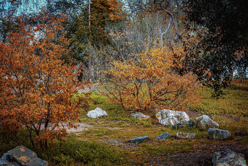 Scenic Autumn Garden with Bushes and Trees Stock Image - Image of trees ...
