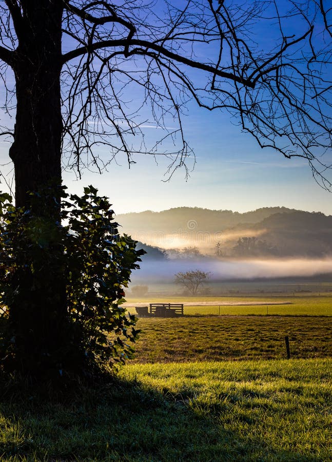 Scenic Autumn Landscape with Mist in the Valley Stock Photo - Image of ...