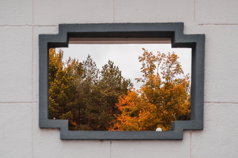 Scenic Autumn View of Trees from a Frame in the White Wall Stock Photo ...