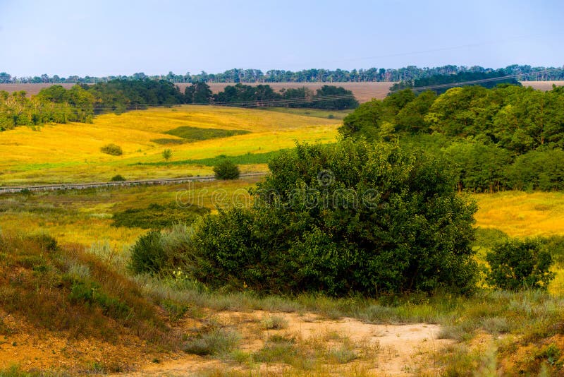Scenic Beautiful Typical Lush Green Landscape with Fields Stock Photo ...