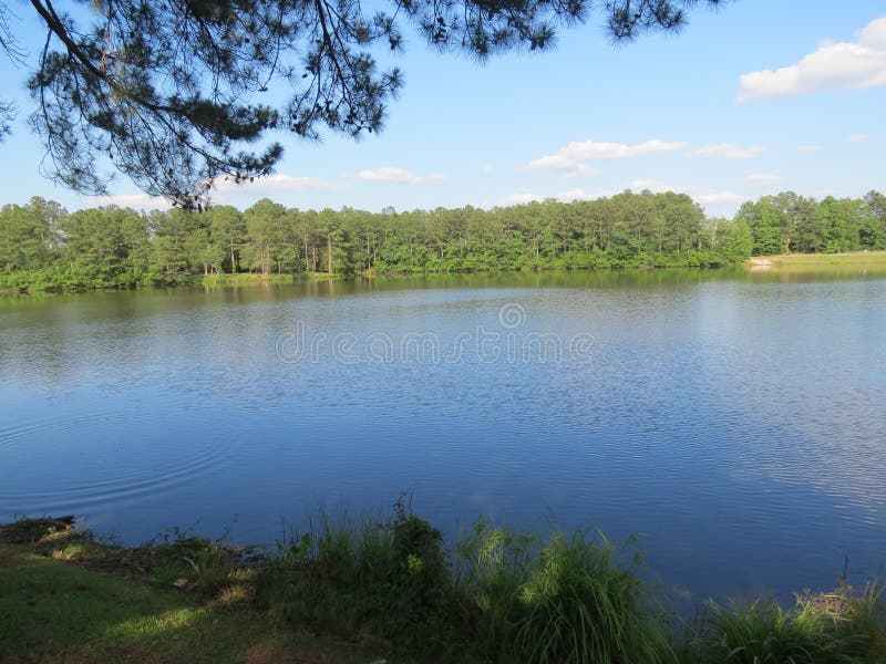 Scenic Blue Lake Viewed from the Shade Stock Image - Image of late ...