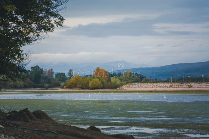 A Scenic body of water stock image. Image of pond, view - 264786131