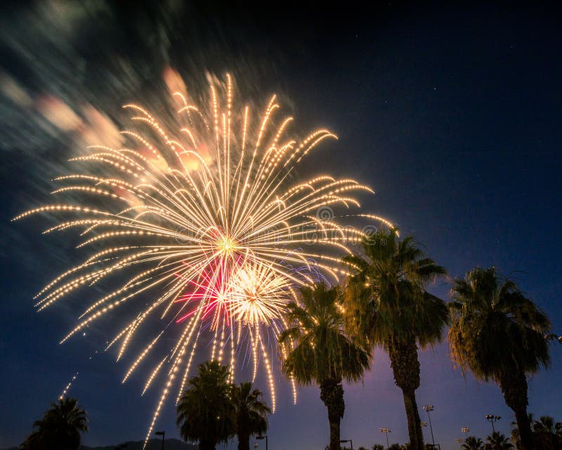 Scenic Bright Fireworks Over the Palm Trees in the Evening Stock Image ...