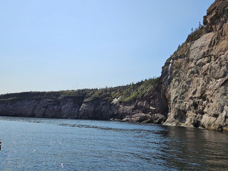 Scenic Coastal Bay Surrounded by Towering Cliffs and Dense Evergreen ...