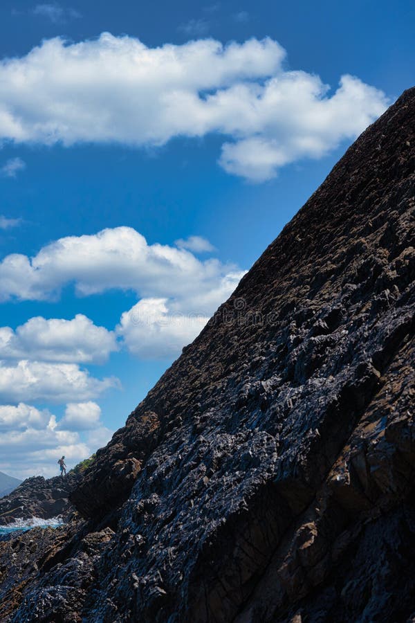 Scenic Coastal Cliffside stock photo. Image of park - 246215124