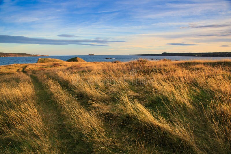 Scenic Coastline of Newfoundland and Labrador Stock Image - Image of ...