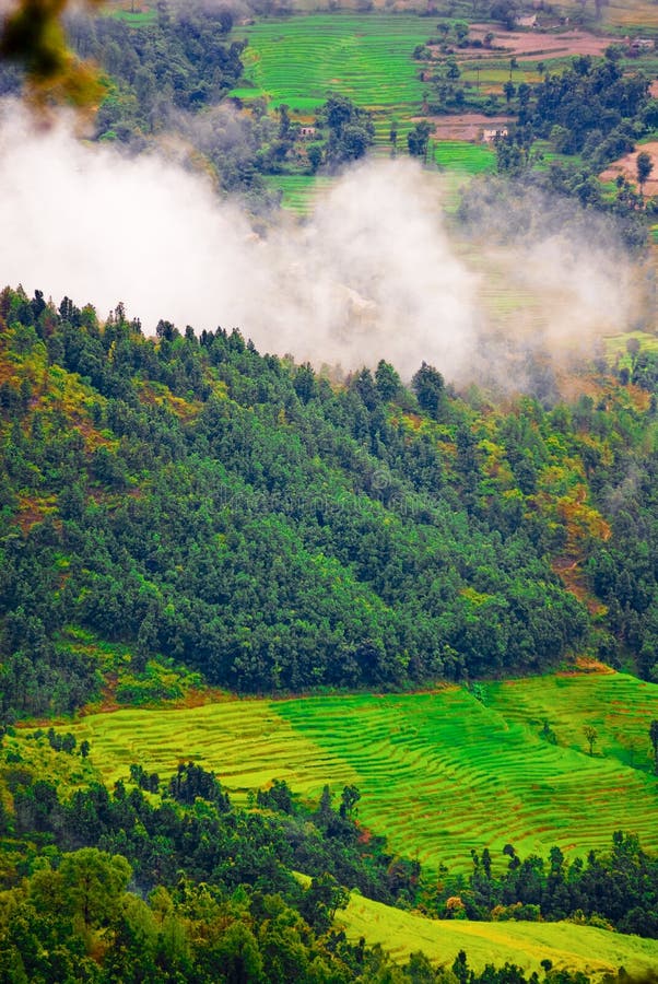 Scenic countryside stock image. Image of forestry, remote - 7768025