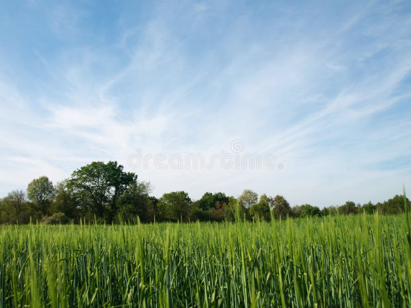 Scenic countryside scene stock image. Image of season - 14122601