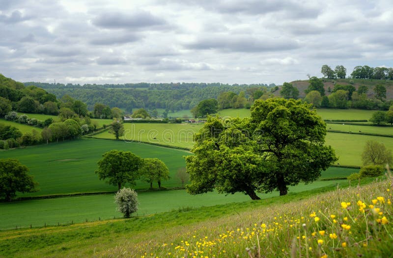 Scenic Countryside Hills with Paths and Trees Illustration Stock Image ...