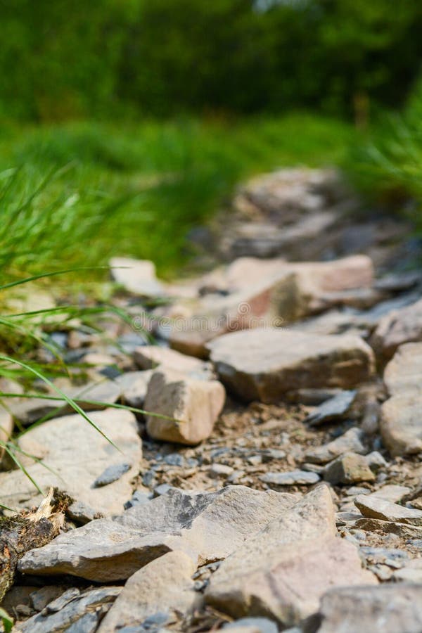 Scenic Cycle or Walking Route Along a Countryside Path Stock Image ...