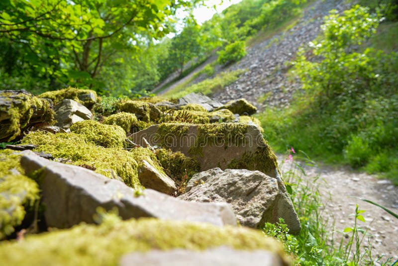 Scenic Cycle or Walking Route Along a Countryside Path Stock Image ...