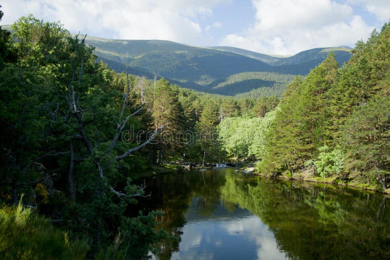 Scenic Dam Surrounded by a Forest Stock Image - Image of adobe ...