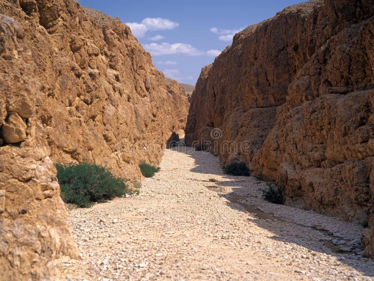 Scenic desert canyon path stock illustration. Illustration of adventure ...