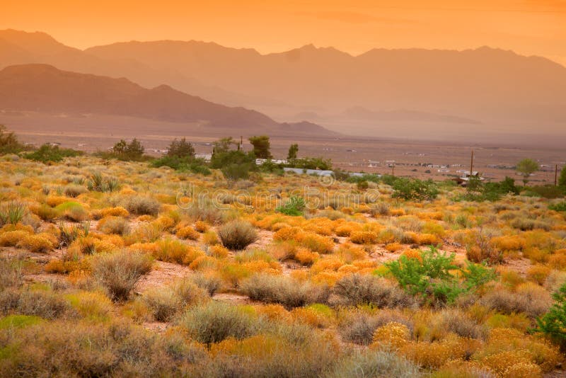 Scenic desert drive stock image. Image of land, park - 13042889