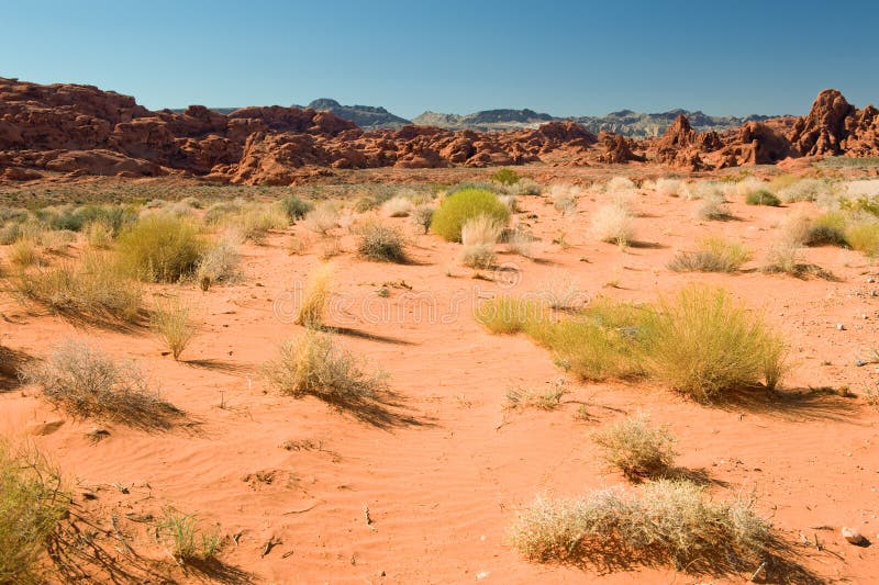 Scenic desert landscape stock photo. Image of sand, scenic - 6824024
