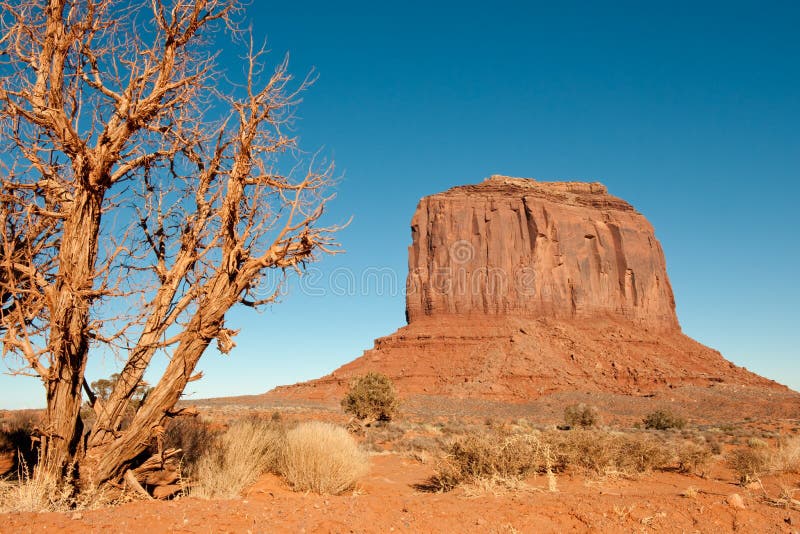 Scenic Desert Plateau Stock Photos - Image: 8828503